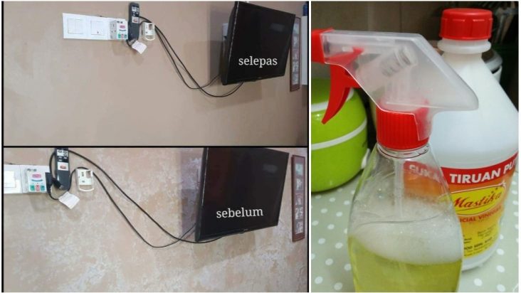 3 Cara Berkesan Hilangkan Kulat / Kulapuk Dinding. Tak Bercapuk Lagi!