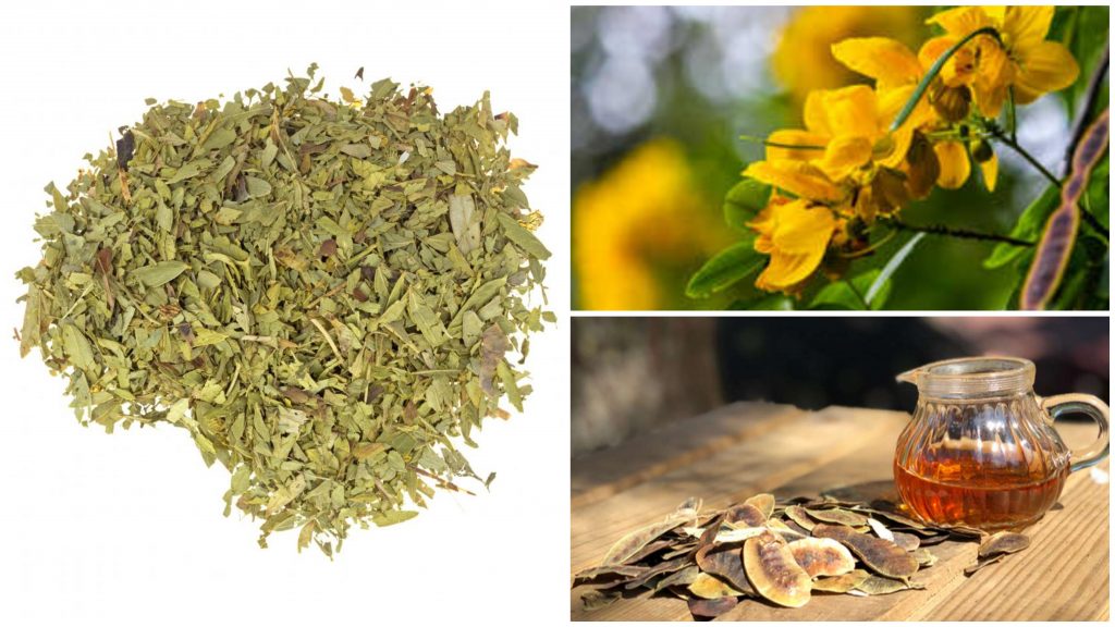 Daun Senna: Khasiat, Hadis Kebaikan & Kesan Sampingan Teh Sanna