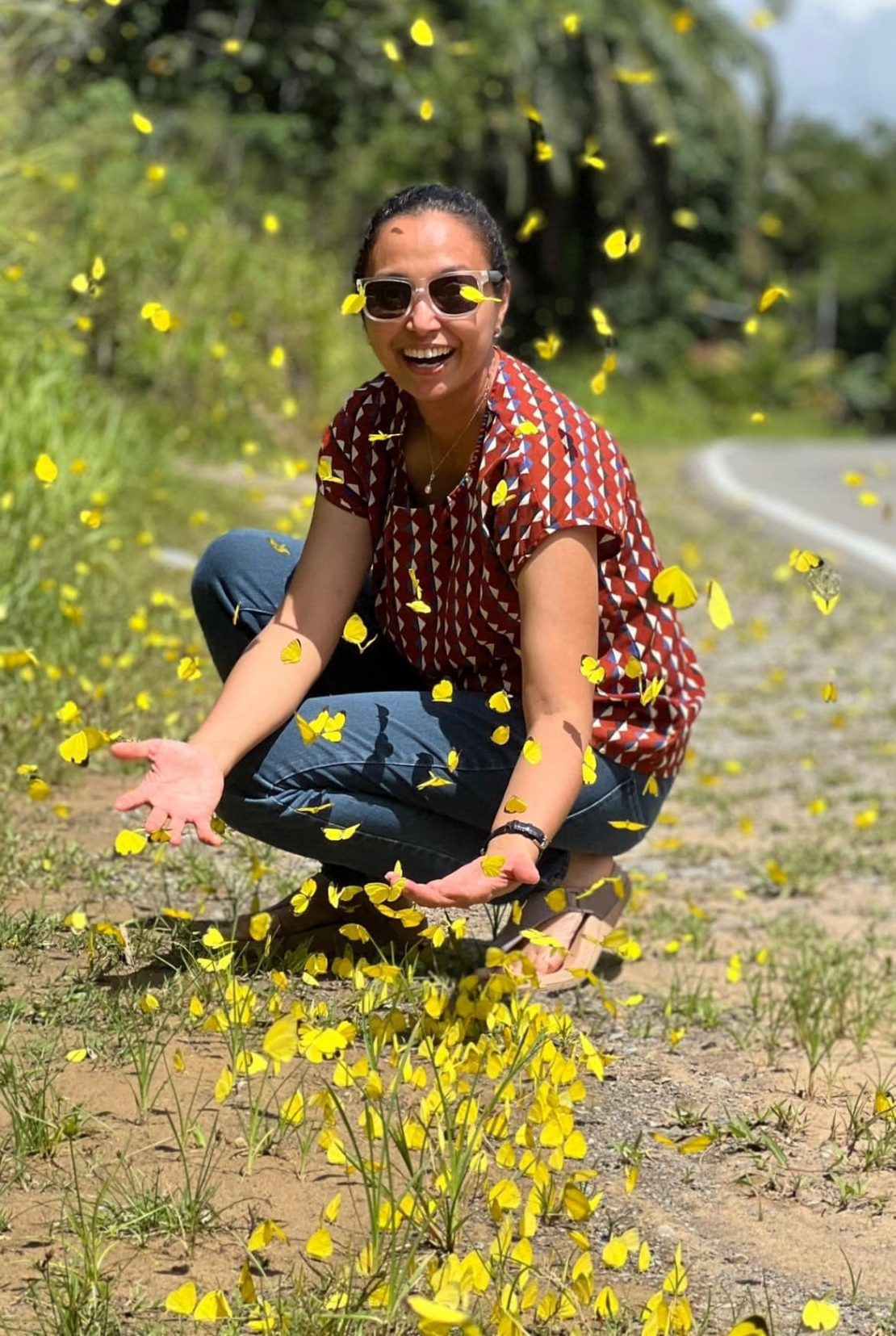 Luarbiasa! Ramai Kagum Lihat Fenomena Ribuan Rama-rama Kuning Di Sabah