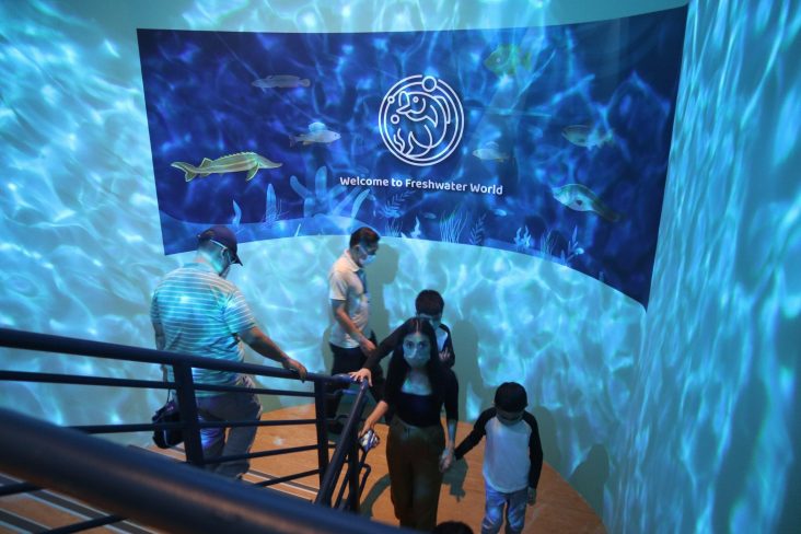 IOI City Farm (Mini Zoo IOI Mall) : Harga Tiket & Waktu Operasi