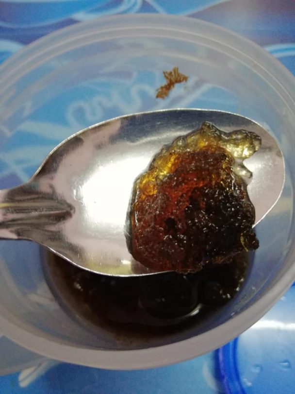 Khasiat Biji Kembang Semangkuk, Boleh Legakan Batuk & Demam